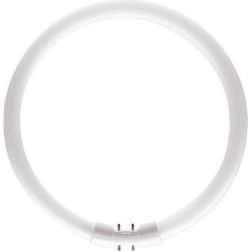 Philips Lighting 166017 Dimmable T5 Circular Fluorescent Lamp 22-Watt ...