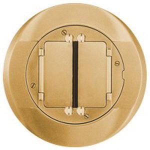 Hubbell-Wiring S1CFCBRS Powder Coated Cast Aluminum Carpet Flange ...