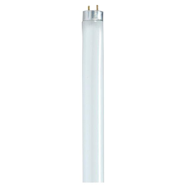 Satco S8420 T8 Standard Fluorescent Lamp 32-Watt 2-Pin G13 Base 2950 ...